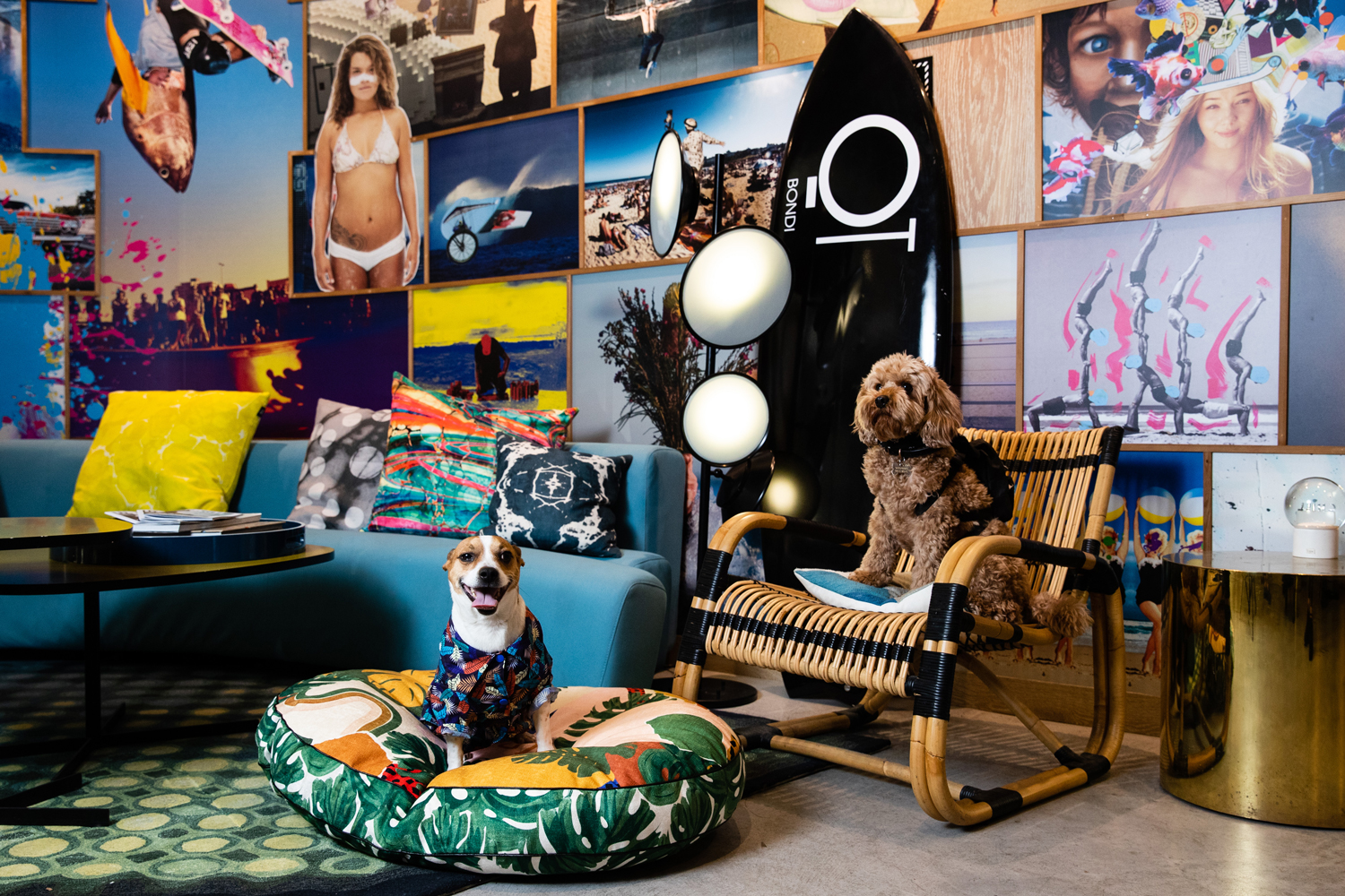 QT Hotel & Resorts Are Now Offering 'Pup Yeah!' Experiences, So Your ...